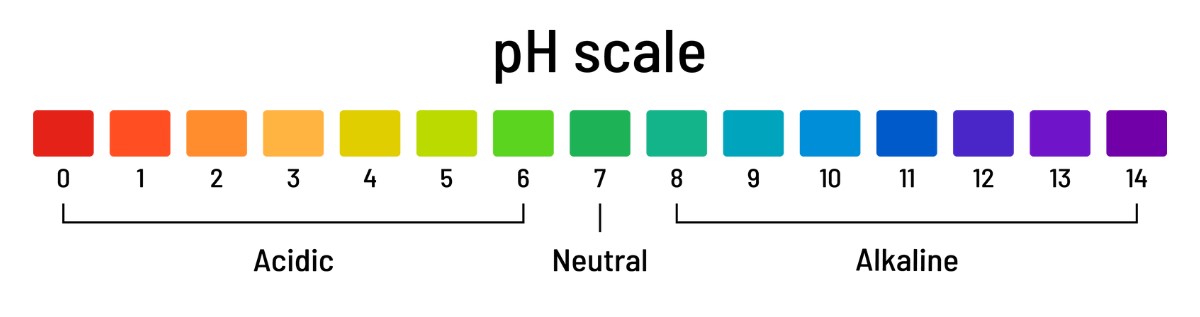 Coconut Water pH: Acidic Or Alkaline? - Sipping Liquids